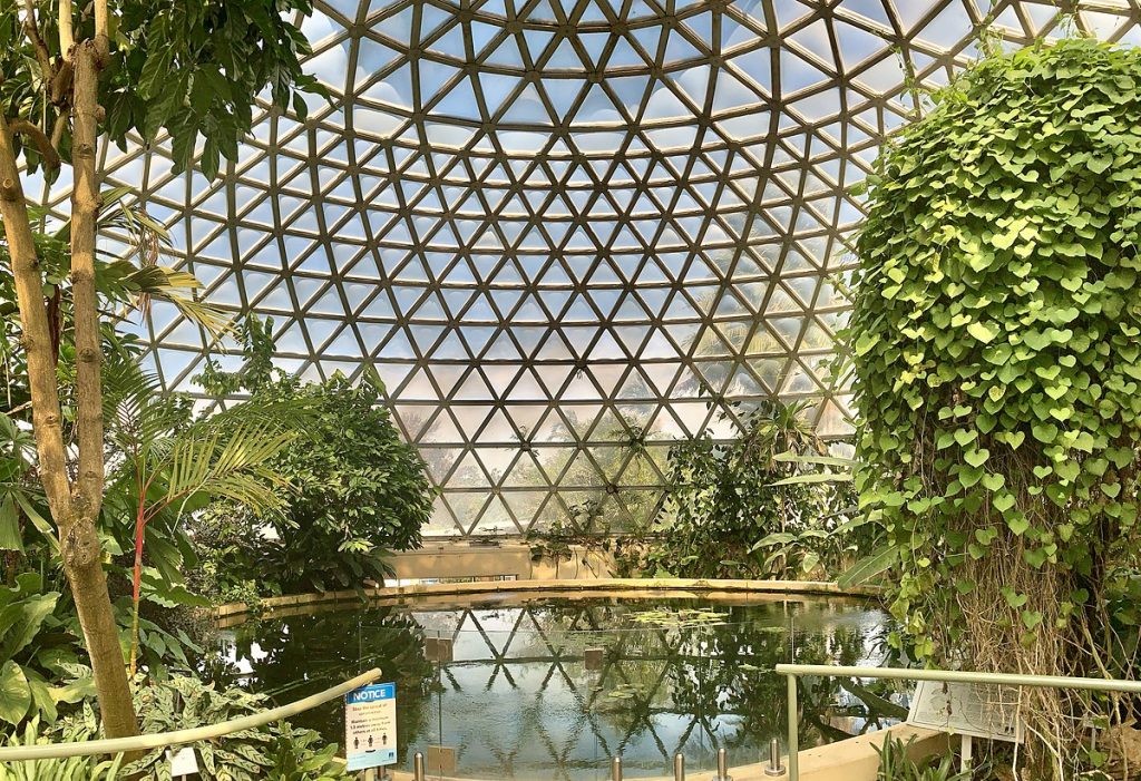 Mt. Cootha Botanical Gardens Walk – More Life Support Services